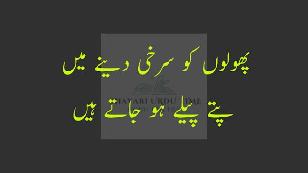 Phool Poetry In Urdu, Best Gulab Shayari & 2 Line
