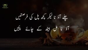 Top 30+ Chaye Poetry In Urdu