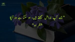 50 Top One Line Quotes In Urdu