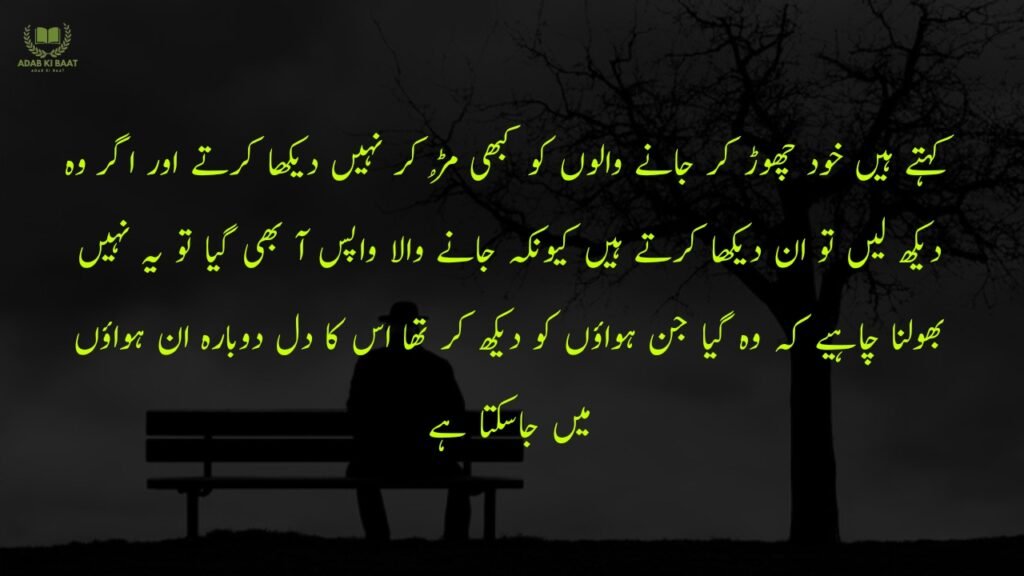 50+ Best Sad Quotes In Urdu